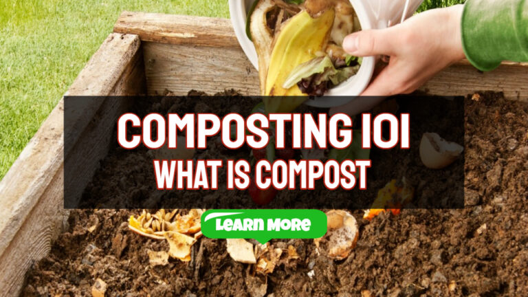 Composting 101 – What is Compost and Types of Composting - Limits of ...